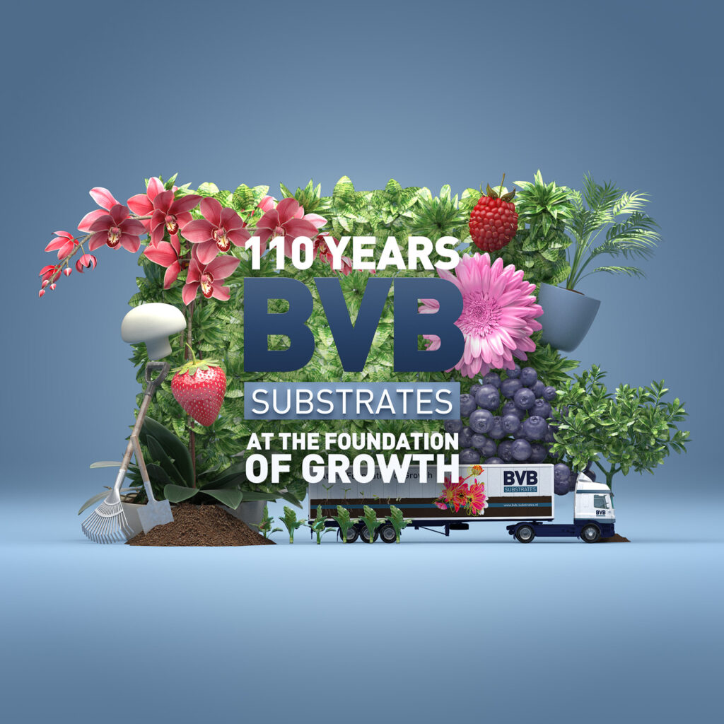 Design 3D Visual – BVB Substrates 110 Years – Strack